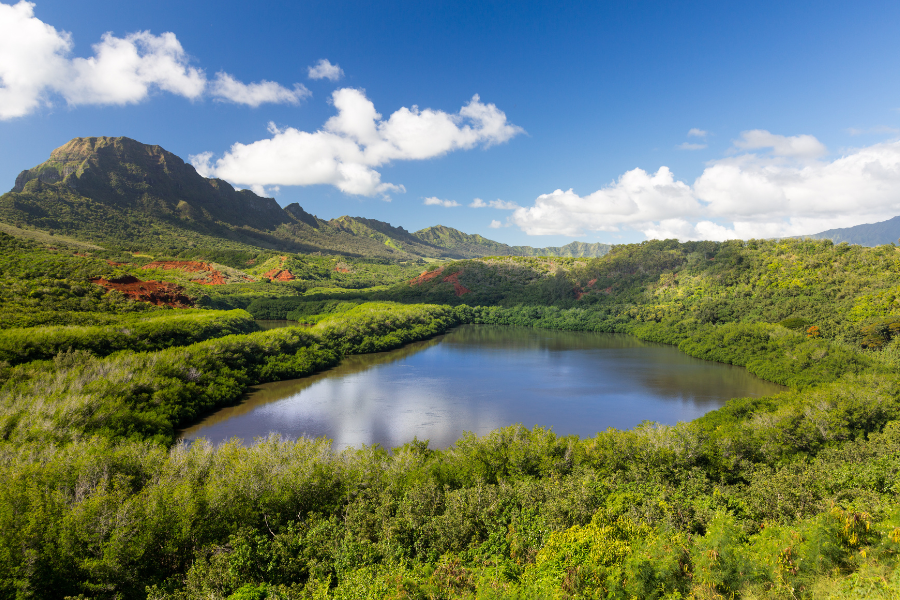 Lihue, HI (LIH) - Atlantic Aviation